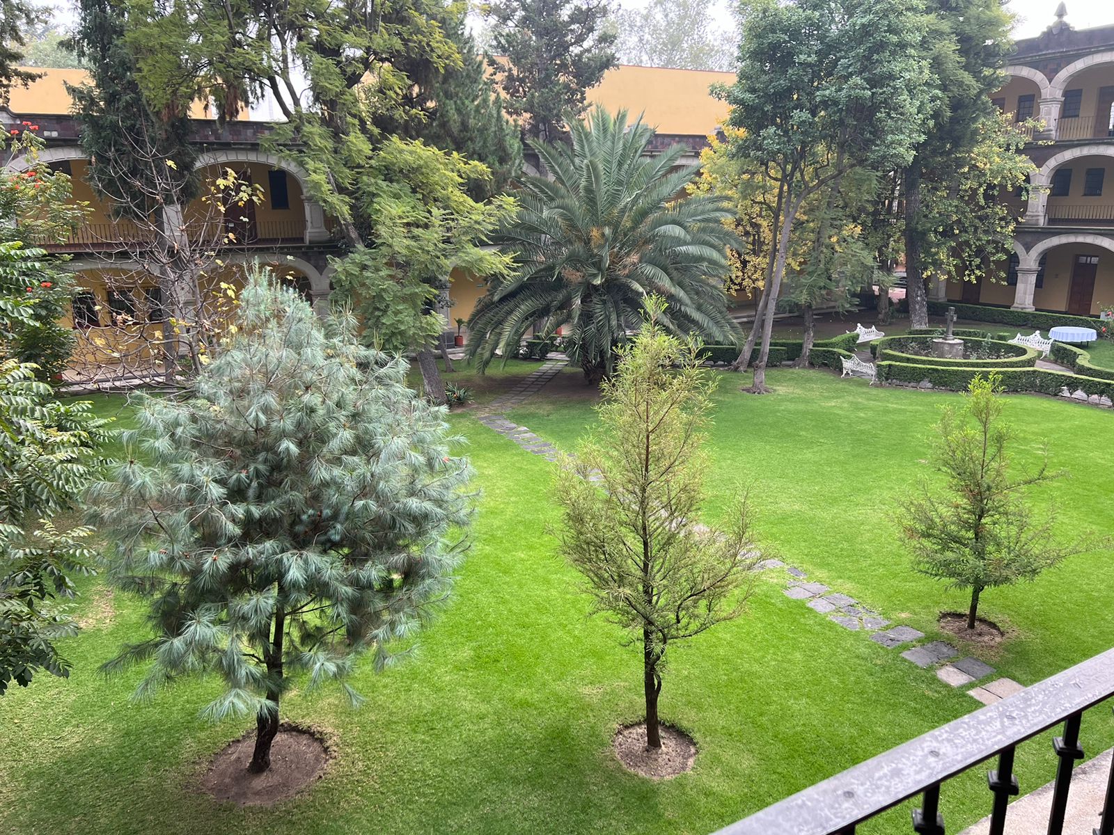 En la fiesta del Seminario Conciliar de México ¿Dónde quedó el padre ...