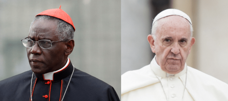 Robert Sarah cumple 50 años como sacerdote: Soy fiel al Papa - InfoVaticana