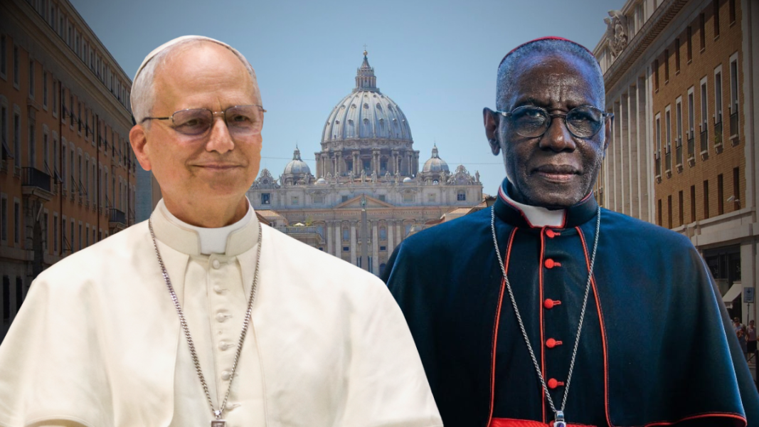 Pope Leo XIV receives Cardinal Robert Sarah in audience – INFOVATICANA