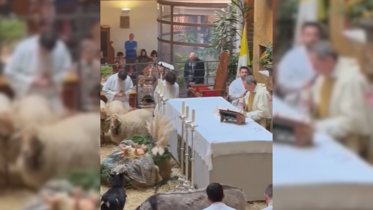 A parish in Boadilla has donkeys and pigs defecating around the altar ...