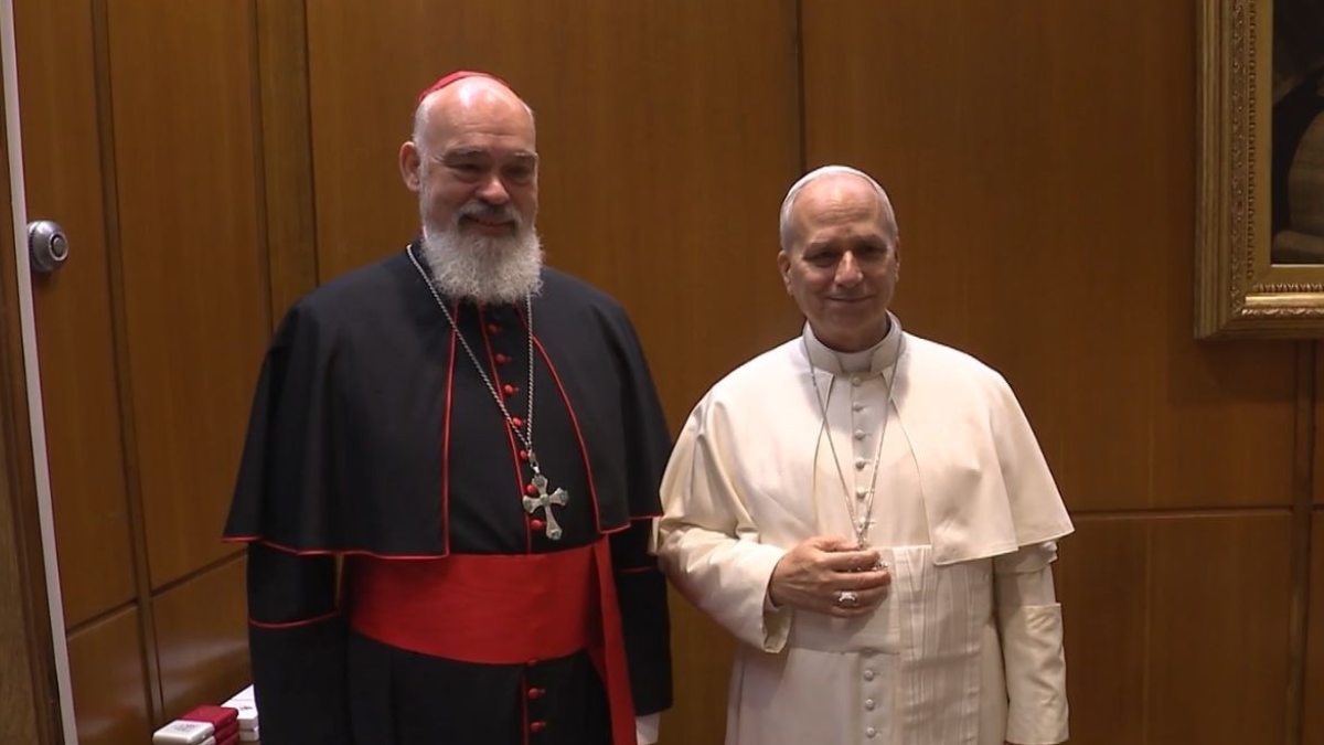 León XIV recibe al cardenal Dominique Mathieu tras ser evacuado de Irán ...