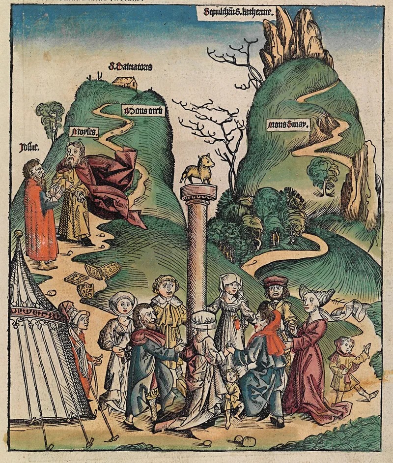 Why should we trust them? – INFOVATICANA